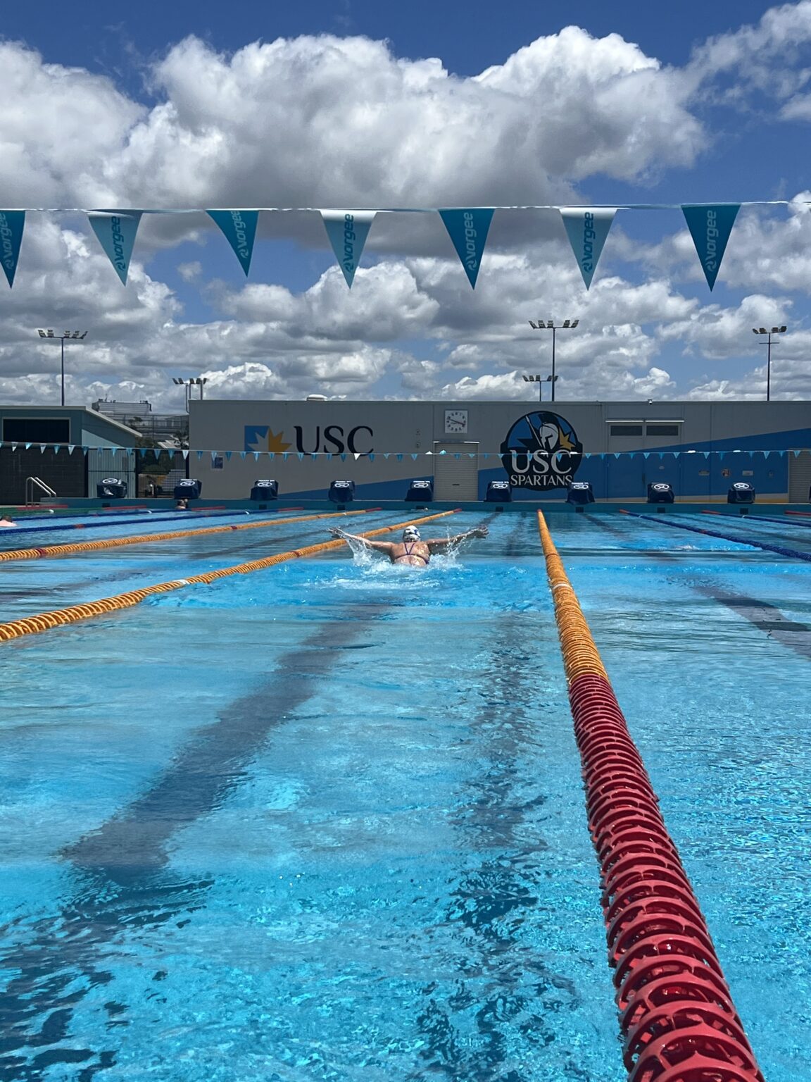 Swimming at the Sunshine Coast | Study Abroad